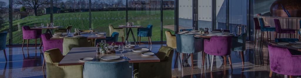 chrysalis-hotel-design